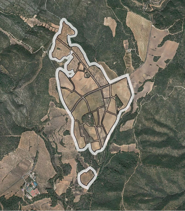 Finca Calvestra – Bodega Mustiguillo