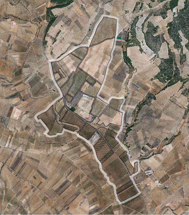 Finca El Terrerazo – Bodega Mustiguillo