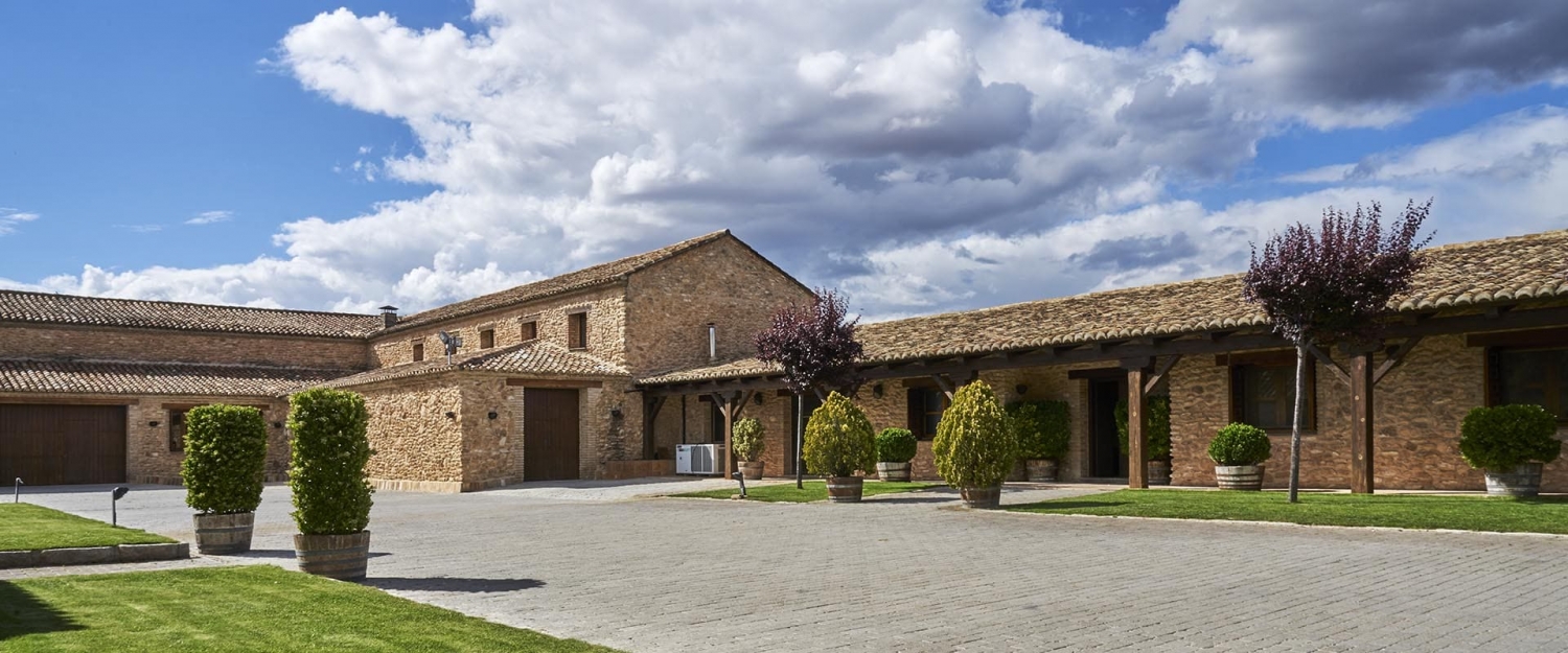 Bodega Mustiguillo – DOP Terrerazo
