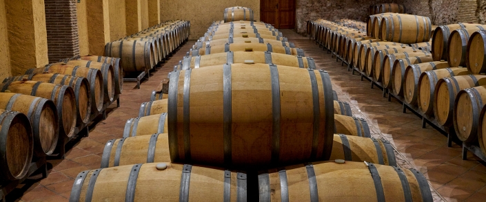 Bodega Mustiguillo - DOP Terrerazo